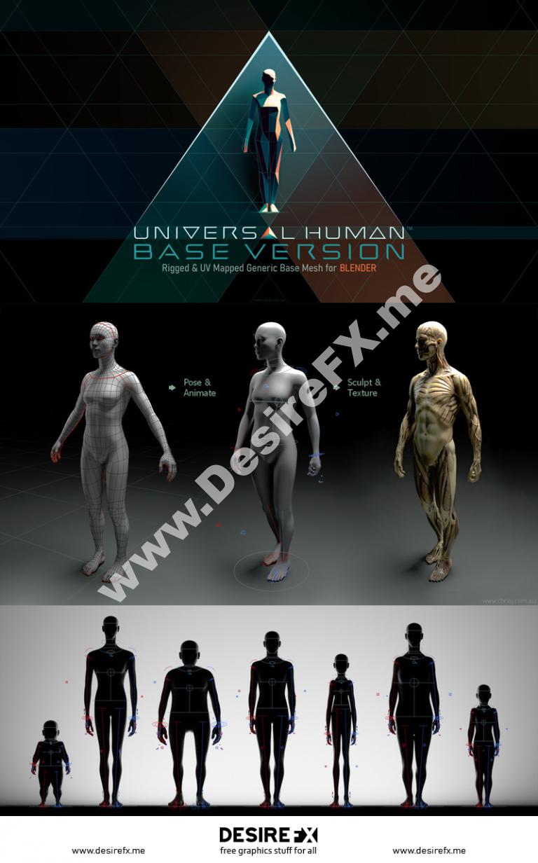 Desire FX 3d models | Gumroad – Universal Human Rigged Base Mesh