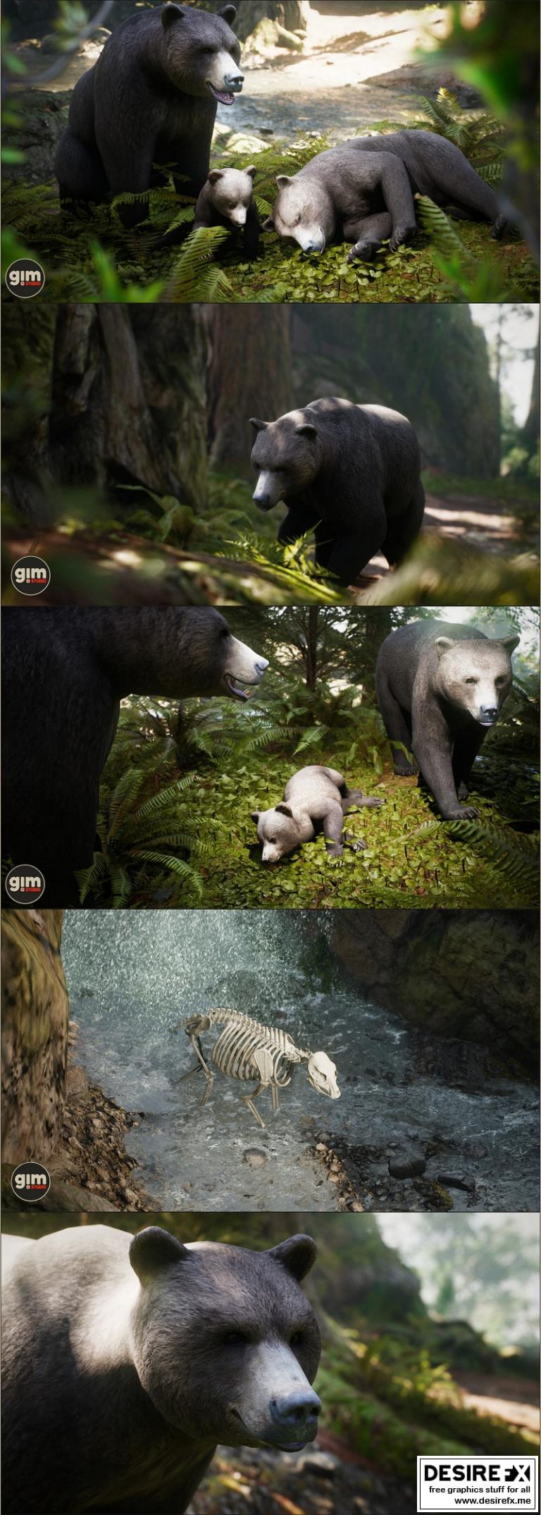 Desire FX 3d models | Unreal Engine Animalia – Brown Bear male