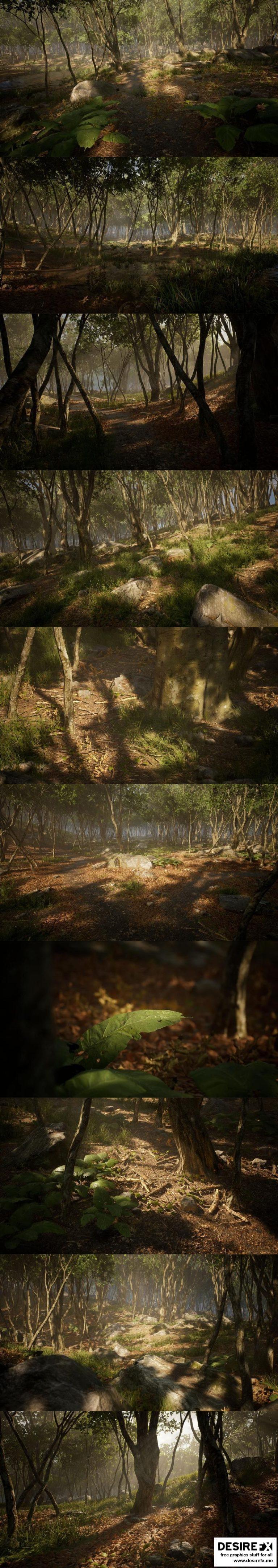 Desire FX 3d models | Unreal Engine – Leaf Tree Forest Biome