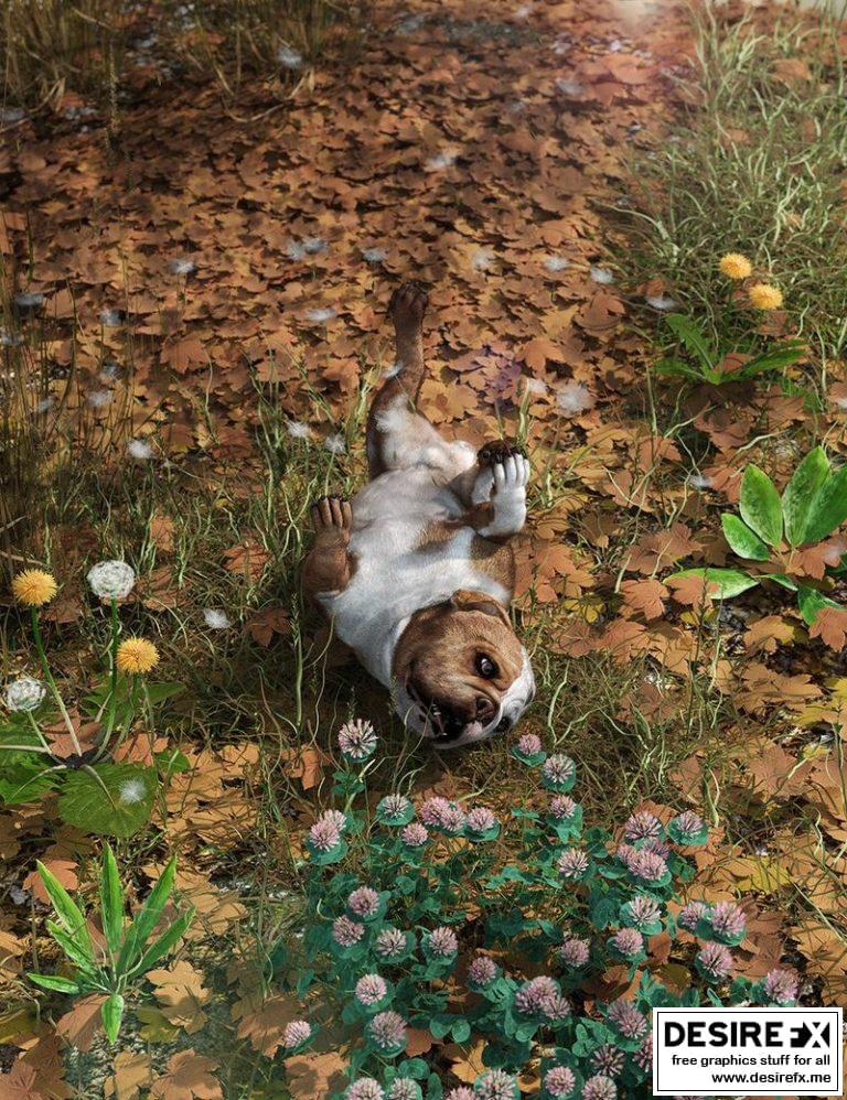 Desire FX 3d models | Fallen Leaves – Scatters and Drifts for Daz Studio