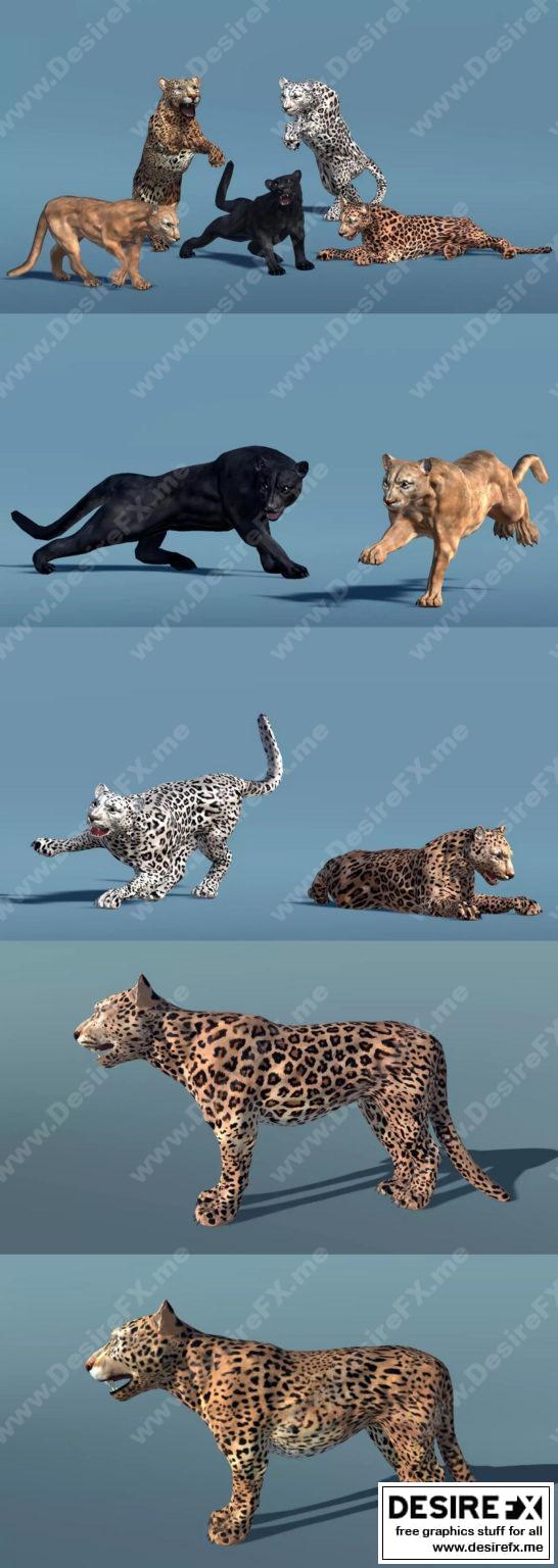 Desire FX 3d models | Big Cats Bundle