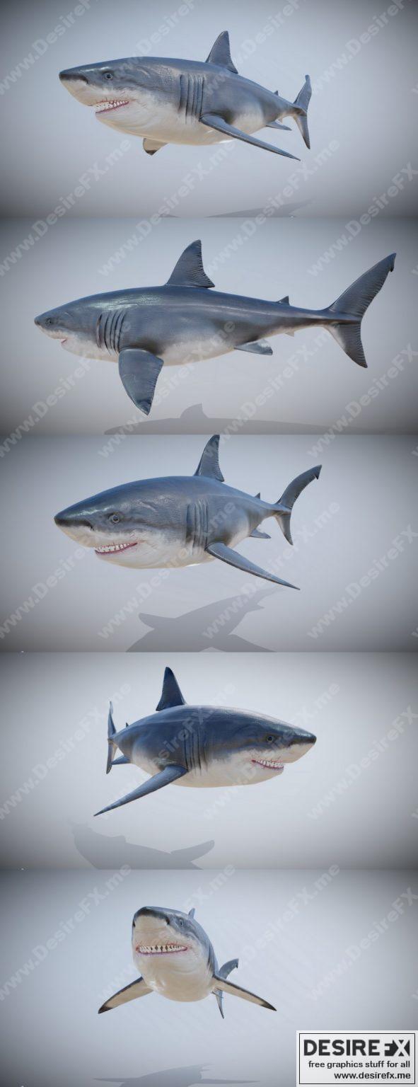 Desire FX 3d models | Megalodon 3D Model