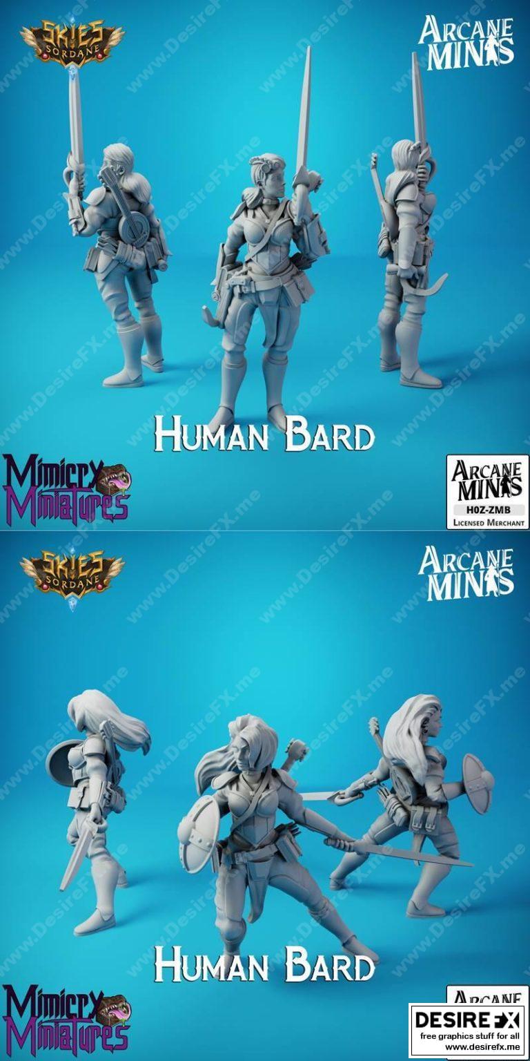 Desire FX 3d models | Human Bard – 3D Print Model STL