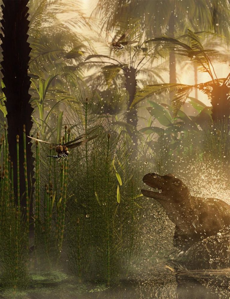 Desire FX 3d models | Wetlands Plants for Daz Studio – Horsetails