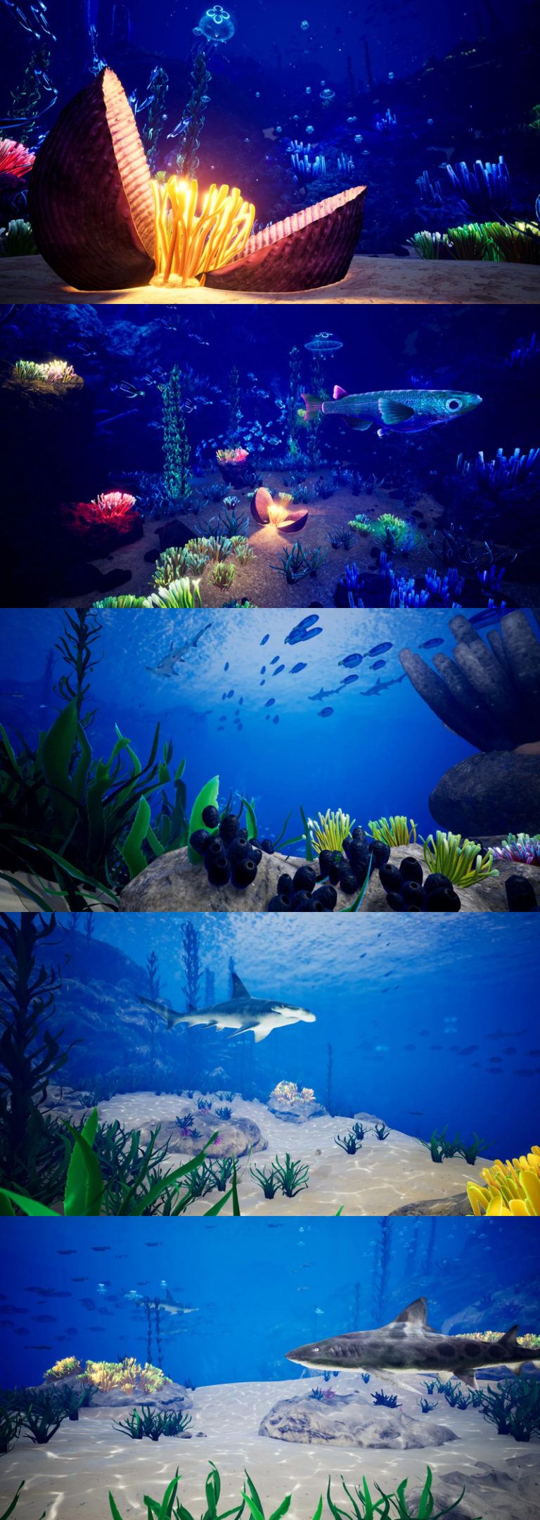 Desire FX 3d models | Ocean Environment Pack