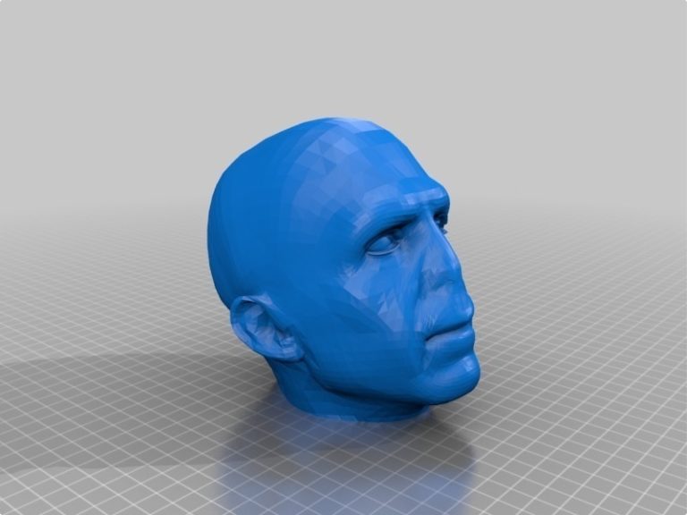 Desire FX 3d models | Lord Voldemort Head- 3D Print Model STL