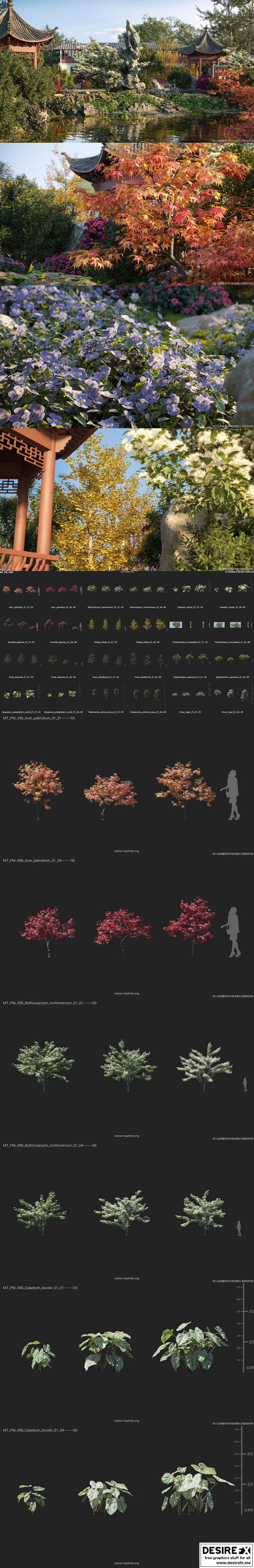 Desire FX 3d models | Maxtree – Plant Models Vol 86 – 3D Model