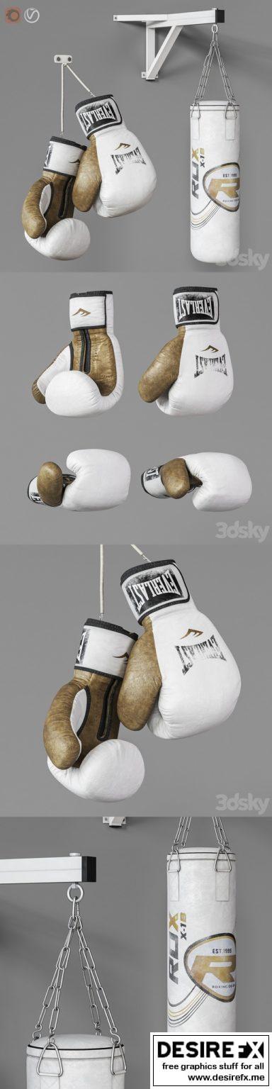 Desire FX 3d models | Sports boxing set 3D Model