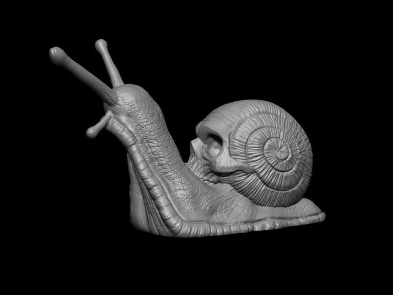 Desire FX 3d models | Skull Snail 3D print model
