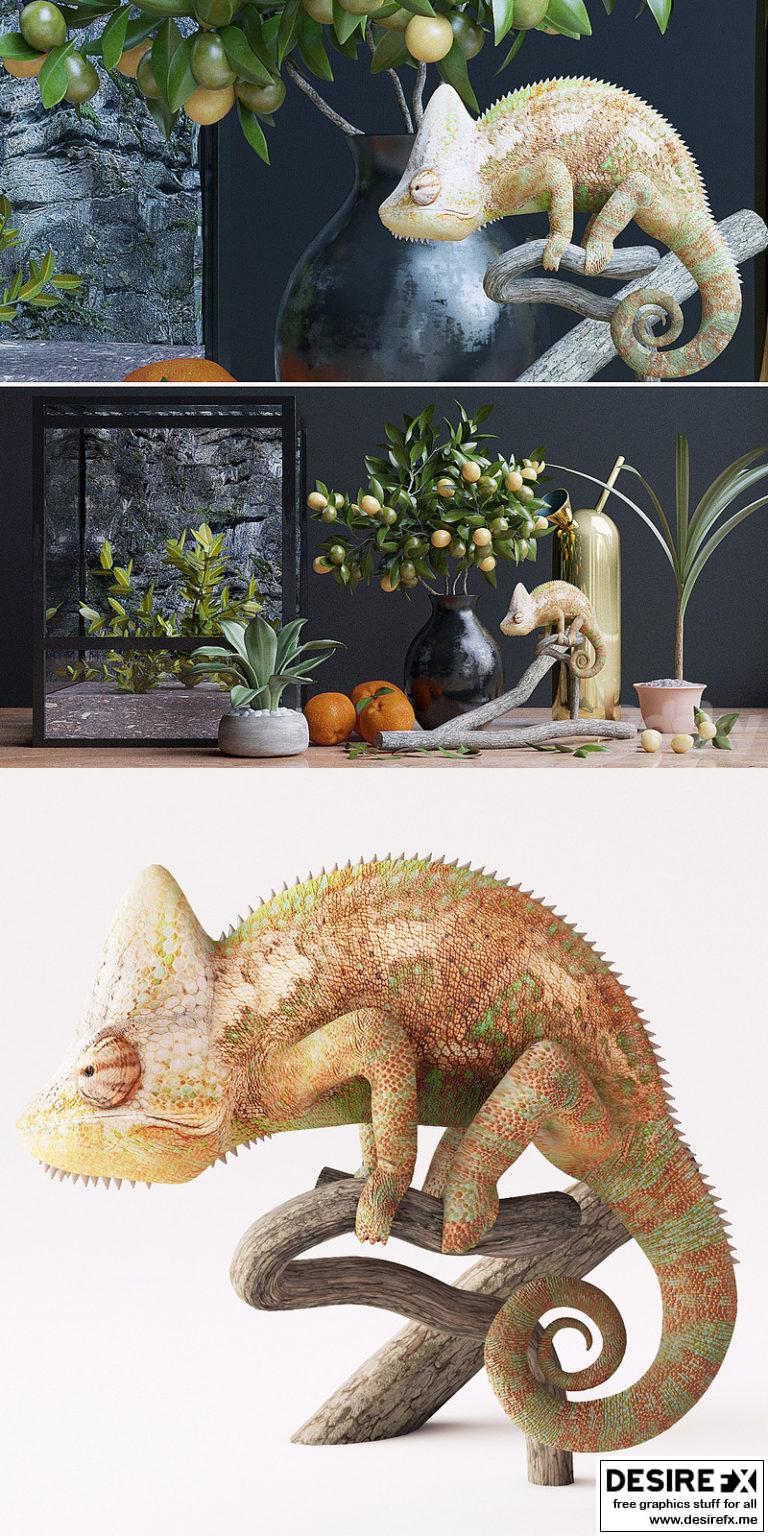 Desire FX 3d models | Decorative set Chameleon – 3D Model