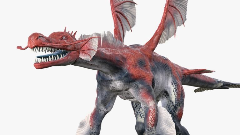 Desire FX 3d models | Sea Dragon