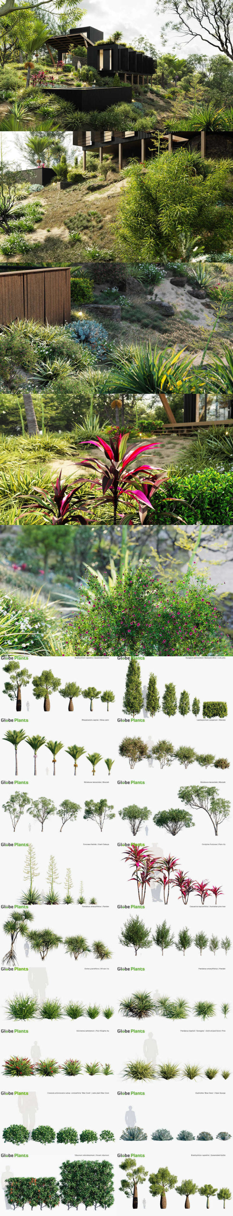 Desire FX 3d models | Globe Plants – Bundle 33 – New Zealand Home ...