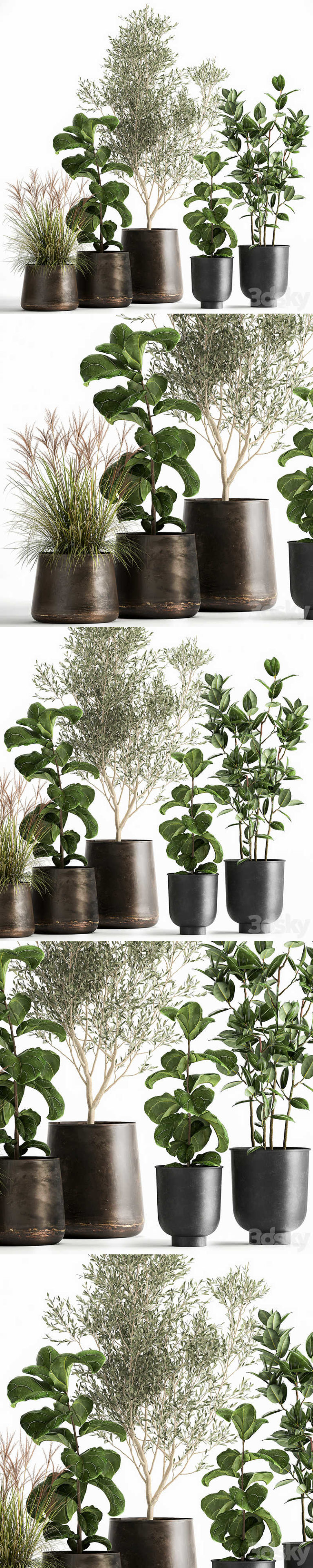 Desire FX 3d models | Plant Collection 1029 – 3D Model