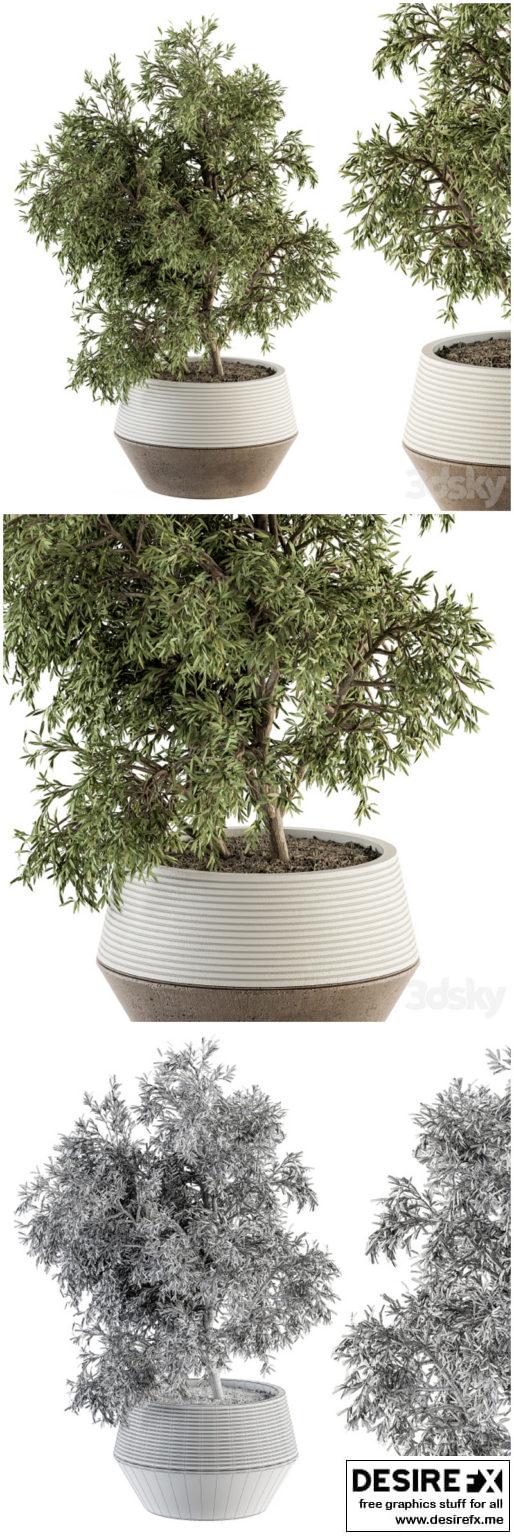 Desire FX 3d models | indoor Plant Set 285 – Plants Set in pot – 3D Model
