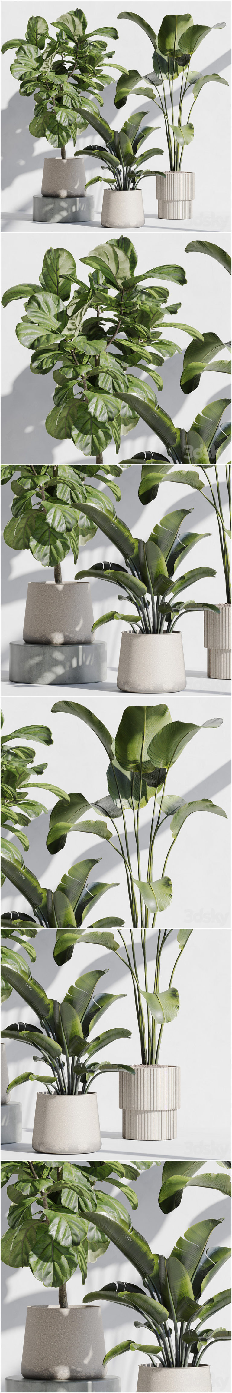 Desire FX 3d models | Indoor plant set 67 – 3D Model