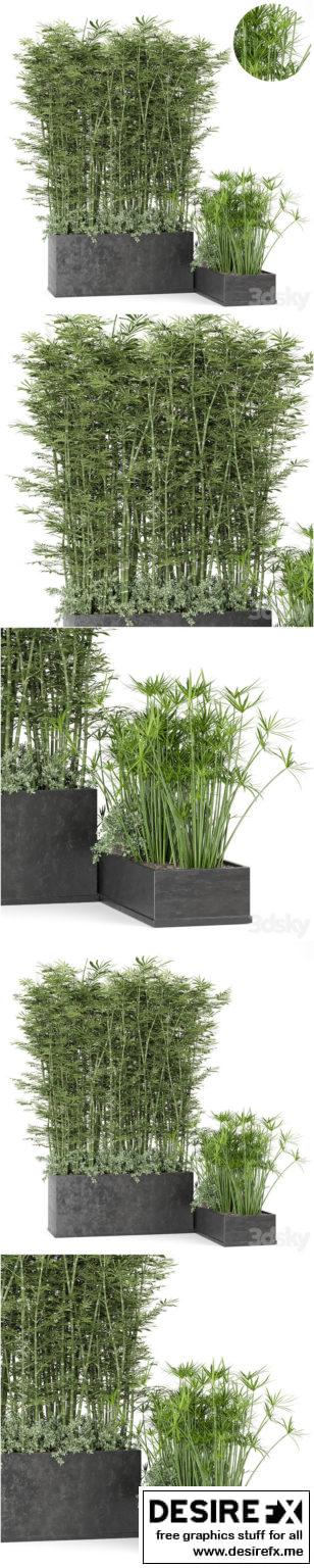 Desire FX 3d models | Outdoor Plants Bamboo in rusty Concrete Pot -Set ...