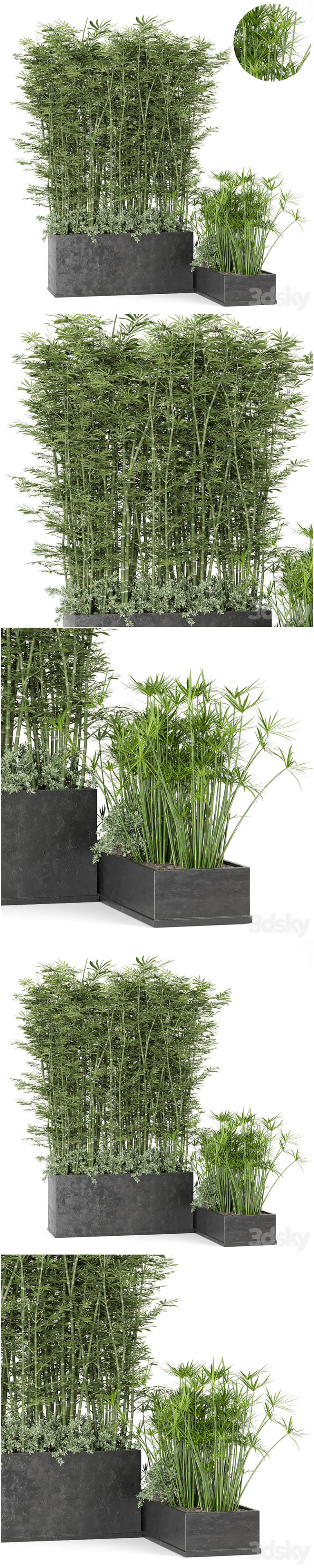 Desire FX 3d models | Outdoor Plants Bamboo in rusty Concrete Pot -Set ...