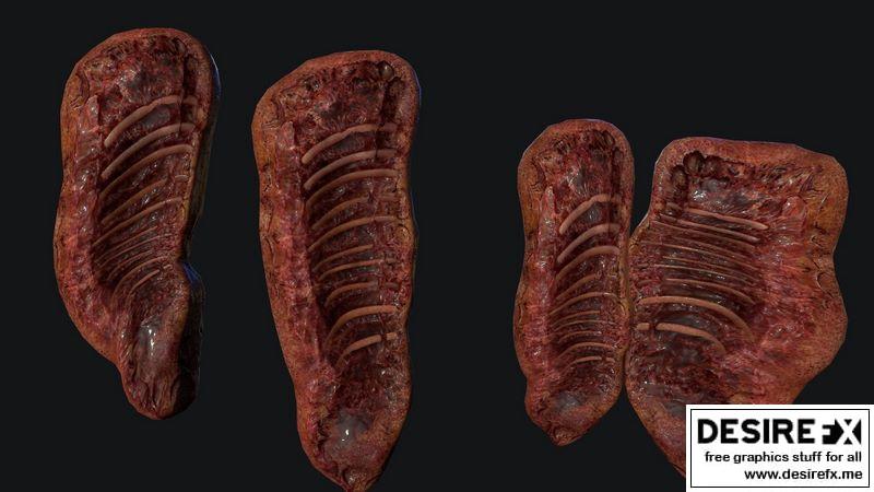 Desire FX 3d models | Meat gore Low-poly 3D model