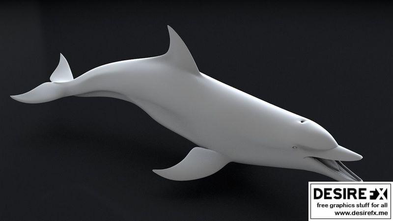 Desire FX 3d models | Bottlenose Dolphin 3D Printable Model 3D print model