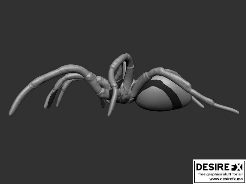 Desire FX 3d models | Tarantula Spider 3D print model