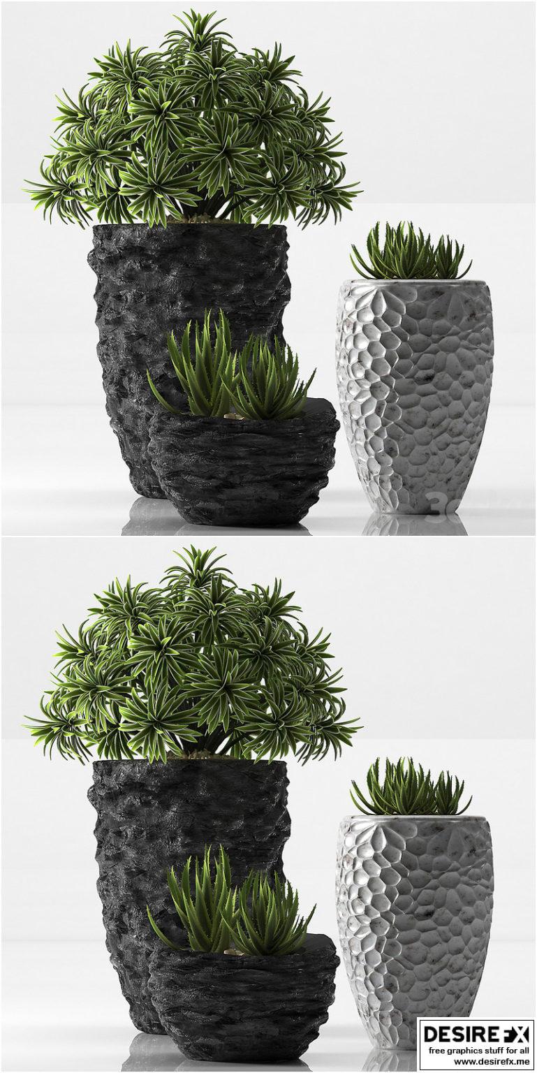 Desire FX 3d models | Plants 31 – 3D Model
