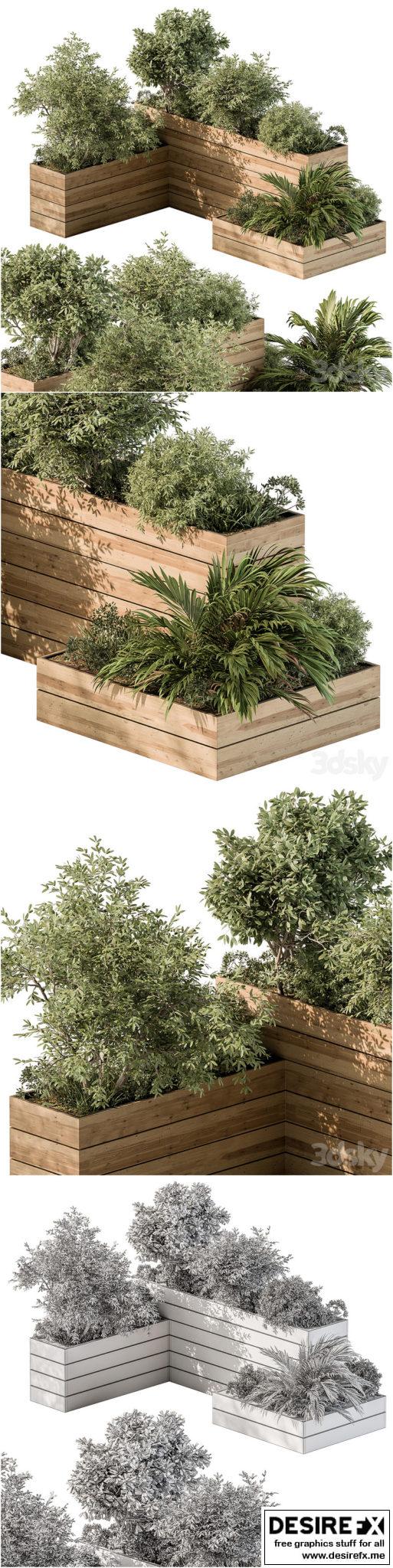 Desire FX 3d models | Plant Box – Outdoor Plants 487 – 3D Model