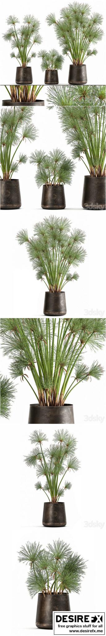 Desire FX 3d models | Plant collection 1048 – 3D Model