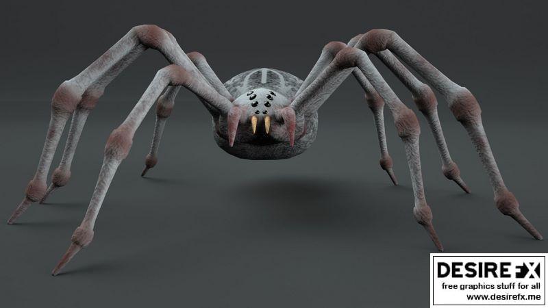 Desire FX 3d models | 3D Spider Rigged Animated 3D model