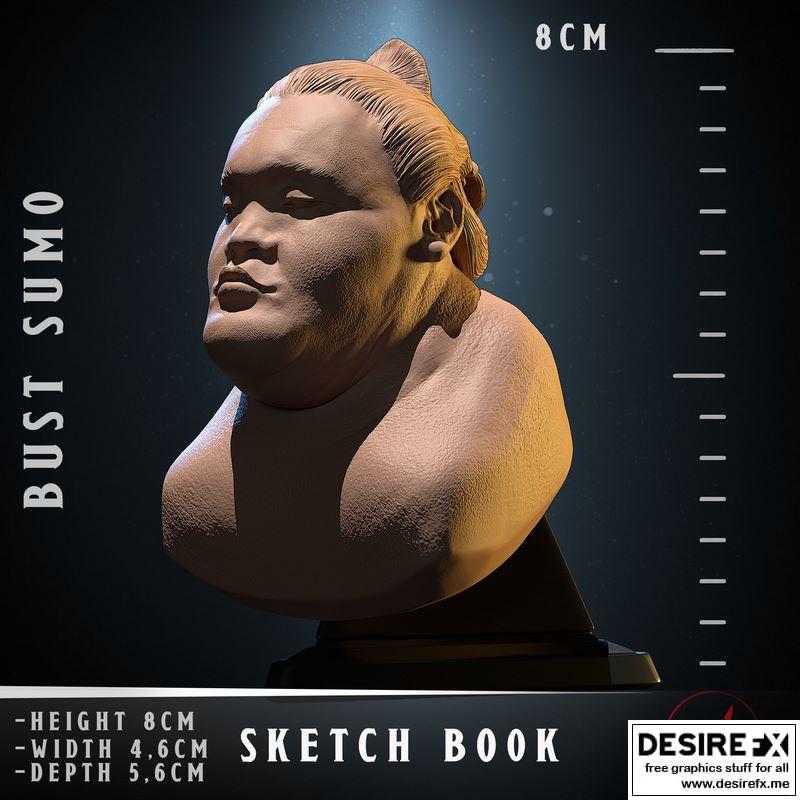 Desire FX 3d models | Bust Sumo 3D print model