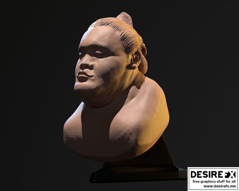 Desire FX 3d models | Bust Sumo 3D print model