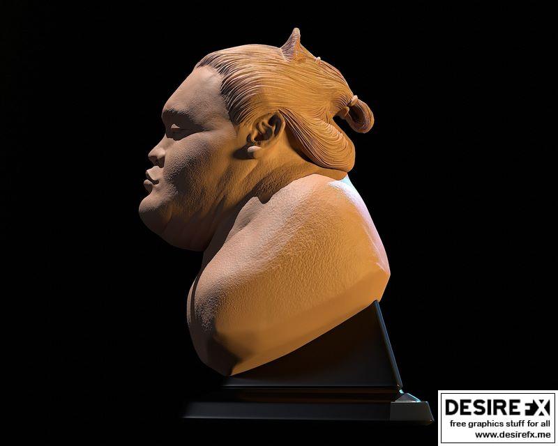 Desire FX 3d models | Bust Sumo 3D print model