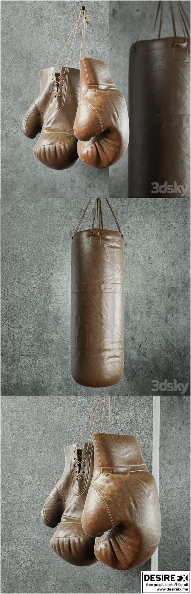 Desire FX 3d models | Champion (Boxing equipment) – 3D Model