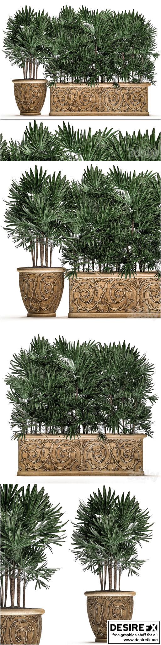 Desire FX 3d models | Plant Collection 494 – 3D Model