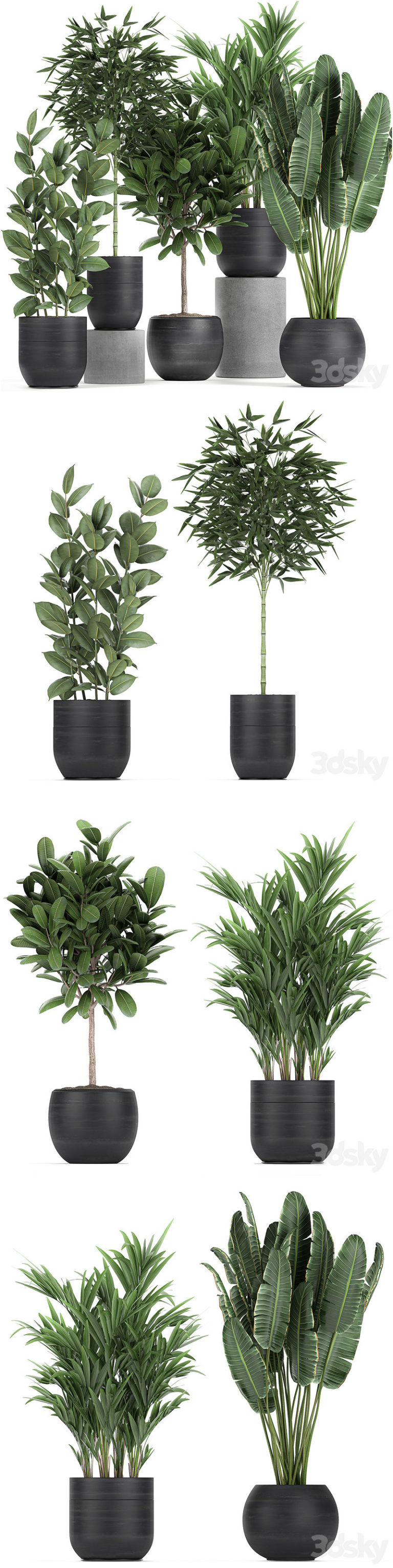 Desire FX 3d models | Plant collection 715. Bamboo, ficus, palm, banana ...