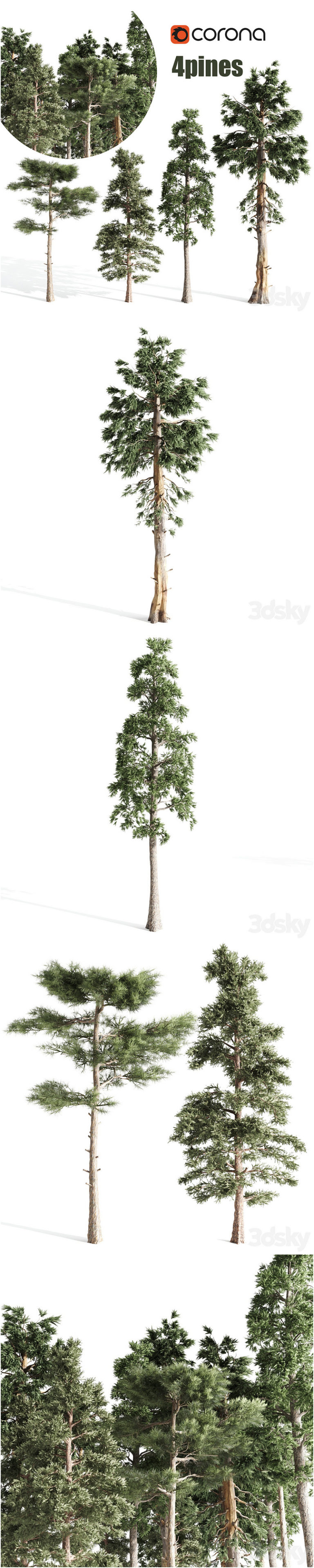Desire FX 3d models | 4 pines – 3D Model