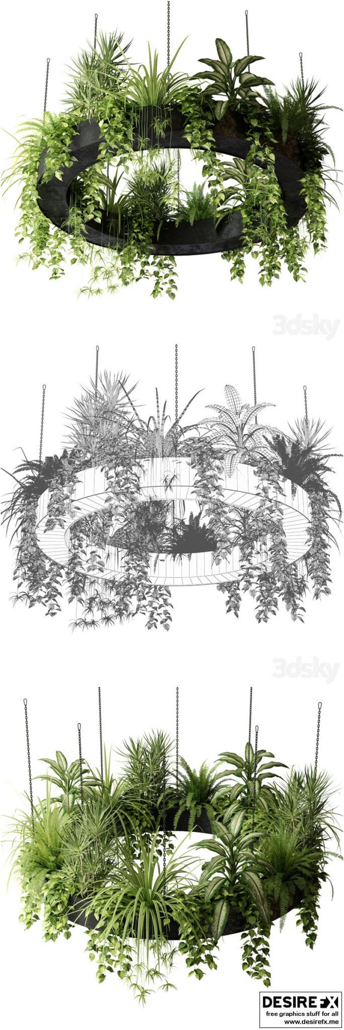 Desire FX 3d models | Indoor plants in a hanging ring planter – 3D Model