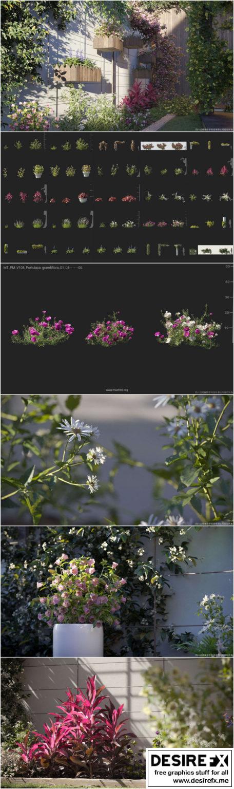 Desire FX 3d models | Maxtree – Plant Models Vol.105 – 3D Model
