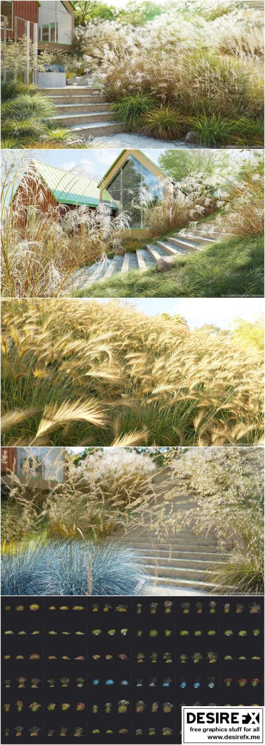 Desire FX 3d models | Maxtree – Plant Models Vol.109 – 3D Model