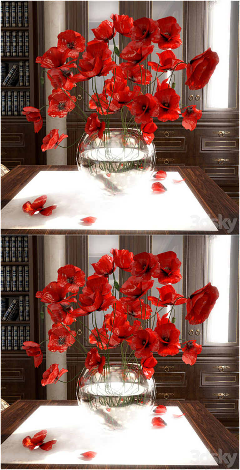 Desire FX 3d models | Poppies in a vase – 3D Model