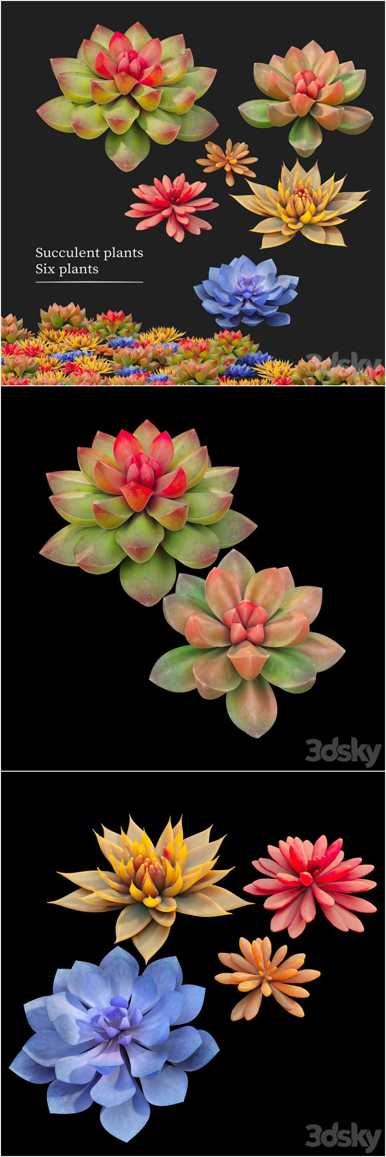 Desire FX 3d models | Succulent plants 02 – 3D Model