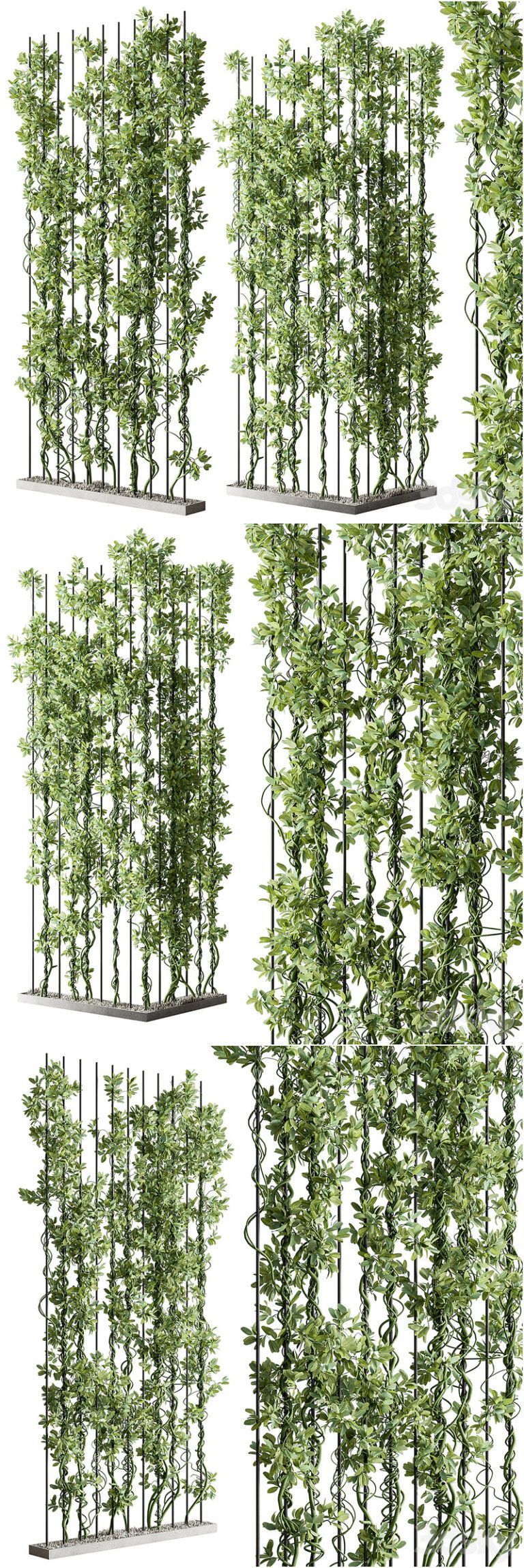 Desire FX 3d models | Vertical Garden Partiton – Set 111 – 3D Model