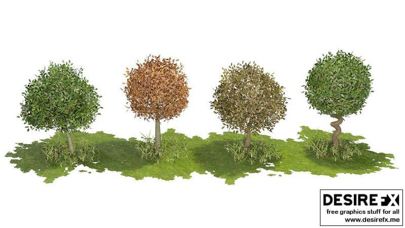 Desire FX 3d models | Bay Trees Low-poly 3D model