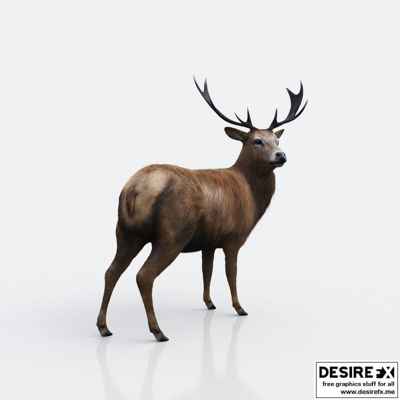 Desire FX 3d models | The Forest Deer Low-poly 3D model