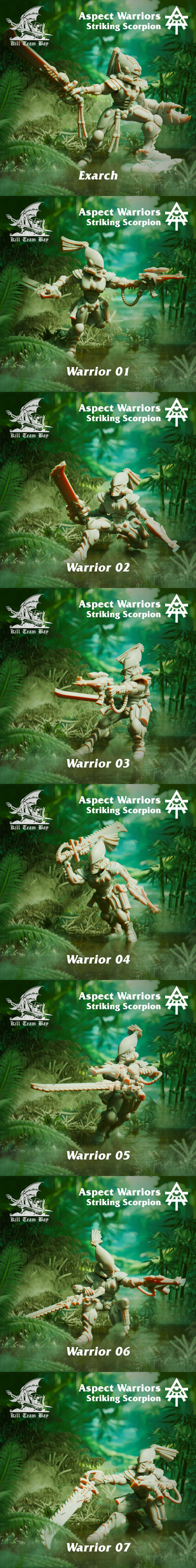 Desire FX 3d models | Aspect Warriors Striking Scorpions – 3D Print Model