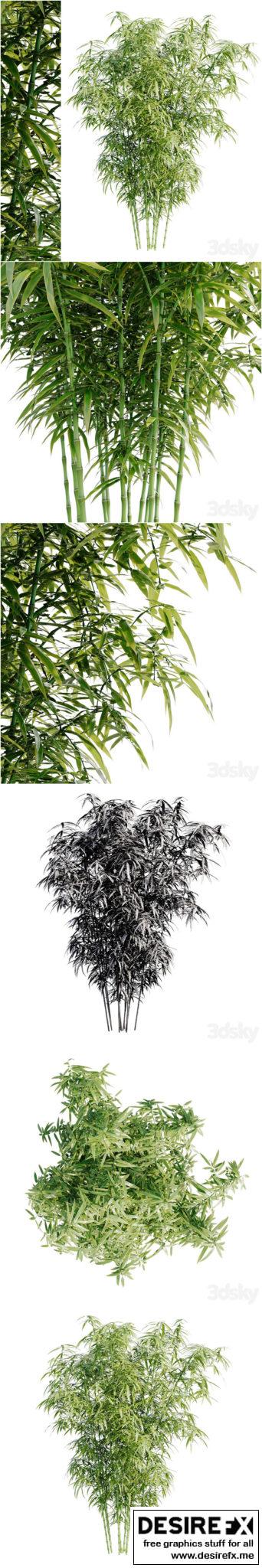 Desire FX 3d models | Bamboo Bush – 3D Model