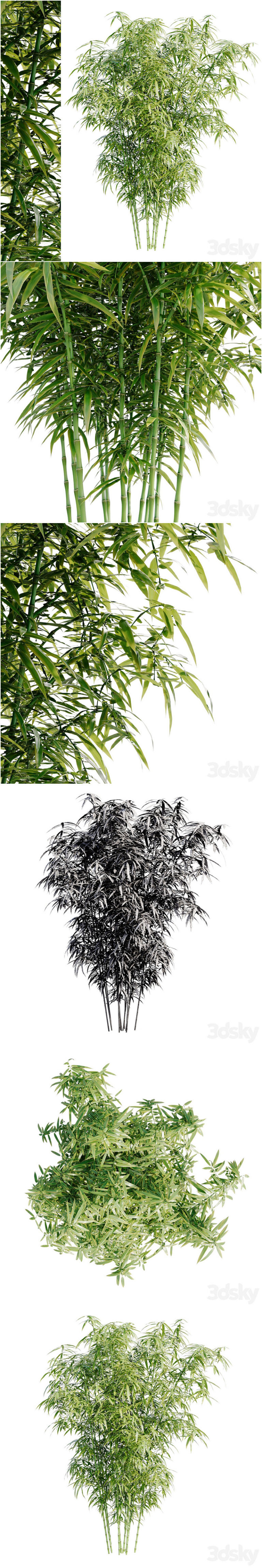 Desire FX 3d models | Bamboo Bush – 3D Model