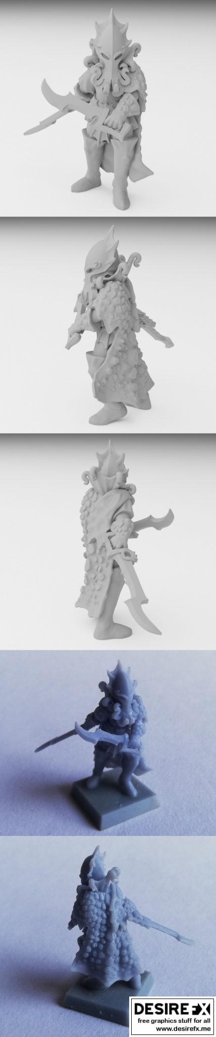 Desire FX 3d models | Dark Elf Kraken Tamer Miniature – 3D Print Model