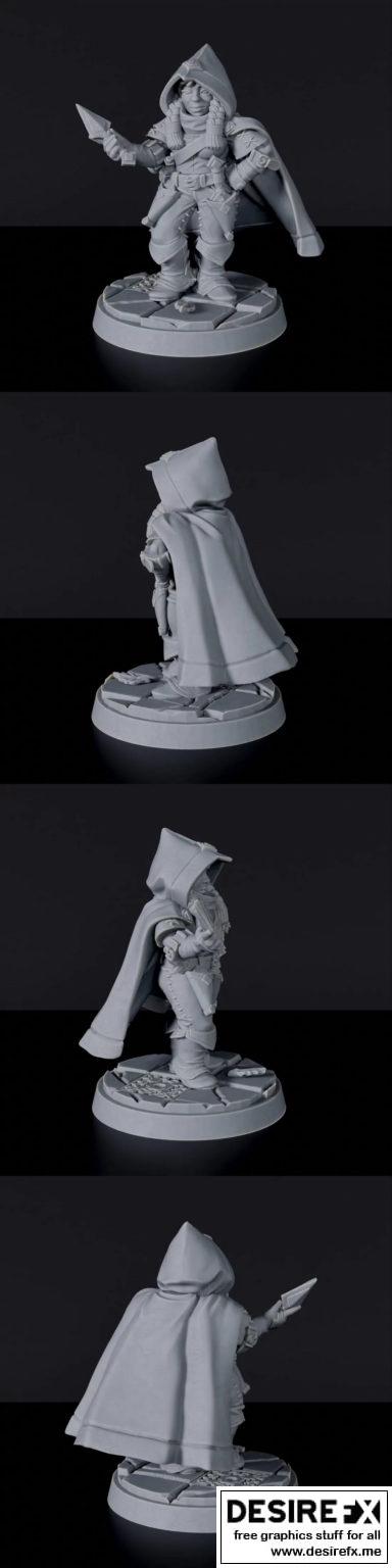 Desire FX 3d models | Dwarf Female Rogue – 3D Print Model