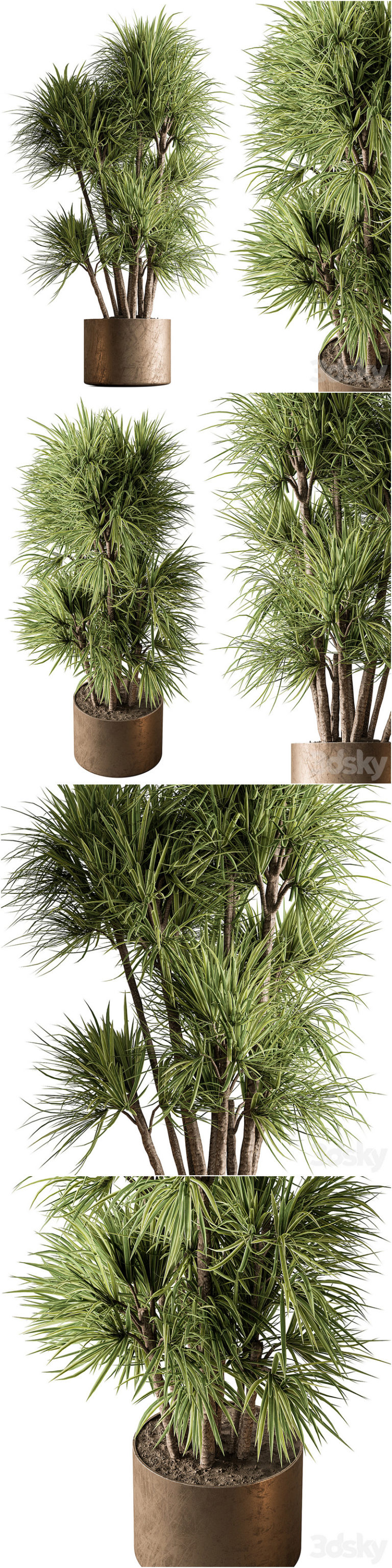 Desire FX 3d models | Find your Graphics Desire With US