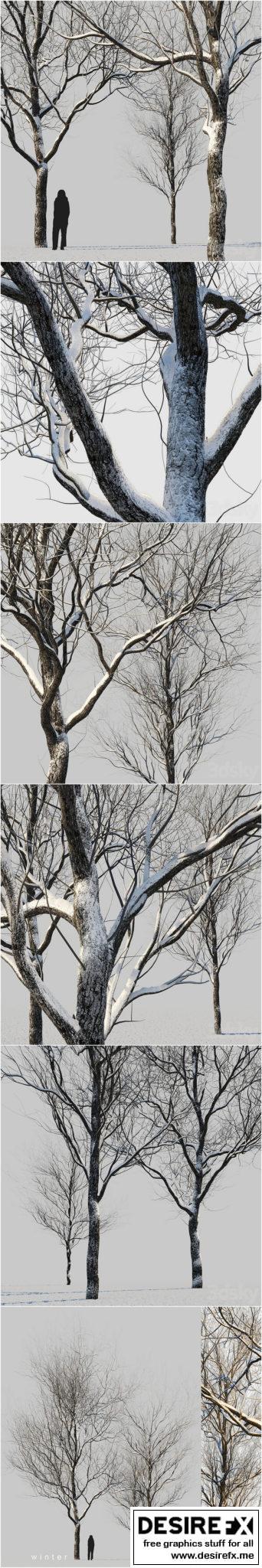 Desire FX 3d models | Snow-covered trees – 3D Model